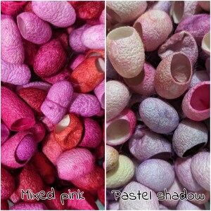 SILK COCOONS Packs of 5 or 10, Dyed Packs, Pictures Are for Color ...