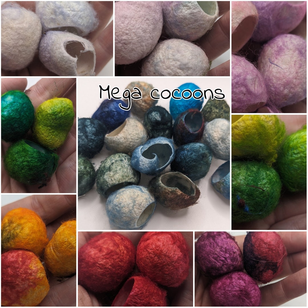 HUGE SILK COCOONS, Mega Cocoons, Large Cocoons, Great for Spider ...