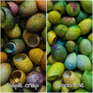 SILK COCOONS Packs of 5 or 10, Dyed Packs, Pictures Are for Color ...