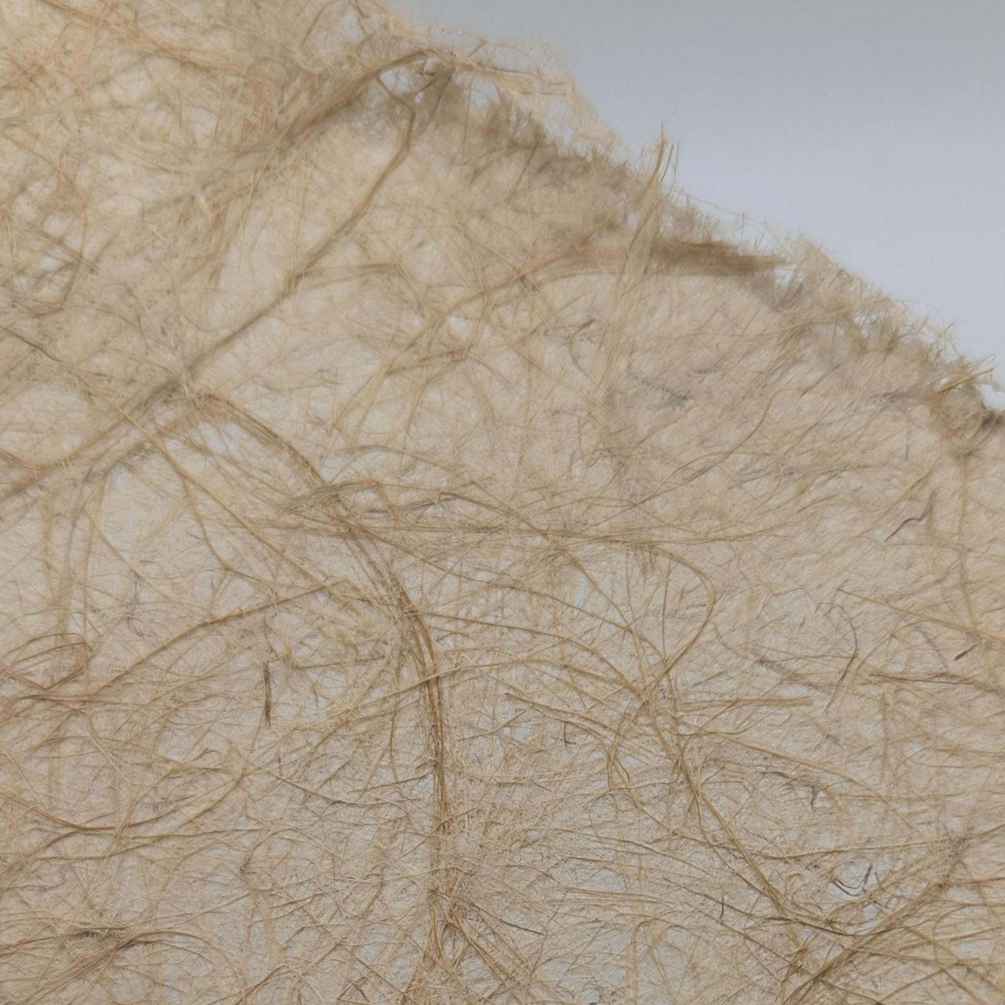 MULBERRY & BANANA Fiber Paper:handmade Textured Scrapbook Paper A4 / 8. ...