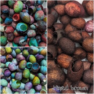 SILK COCOONS Packs of 5 or 10, Dyed Packs, Pictures Are for Color ...