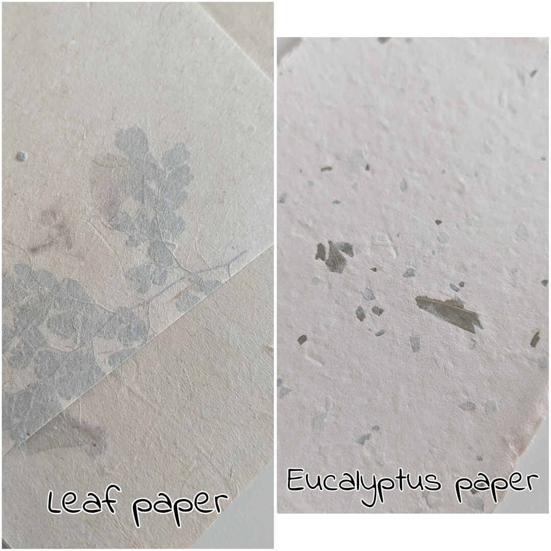 EUCALYPTUS & LEAF PAPER, A5 21cmx15cm Beautiful Plant Based Paper, Made ...