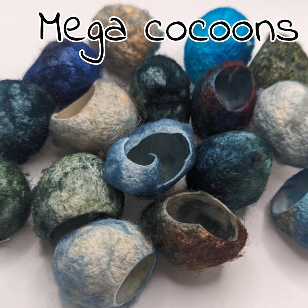 HUGE SILK COCOONS, Mega Cocoons, Large Cocoons, Great for Spider ...