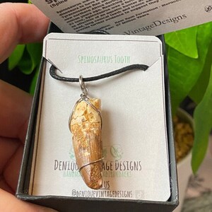 Genuine Spinosaurus Tooth Wire Pendant Silver/steel/copper/bronze/14k ...