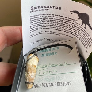 Genuine Spinosaurus Tooth Wire Pendant- Silver/steel/copper/bronze/14k ...