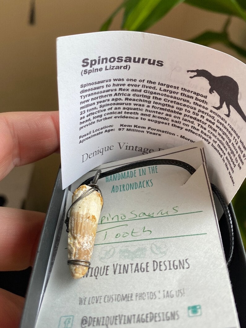 Genuine Spinosaurus Tooth Wire Pendant Silver/steel/copper/bronze/14k ...