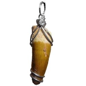 Genuine Spinosaurus Tooth Wire Pendant- Silver/steel/copper/bronze/14k ...