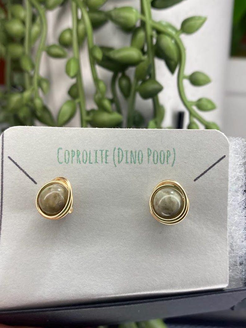 Fossilized Coprolite (dino Poop) 6mm Wrapped Post Earrings- Silver ...