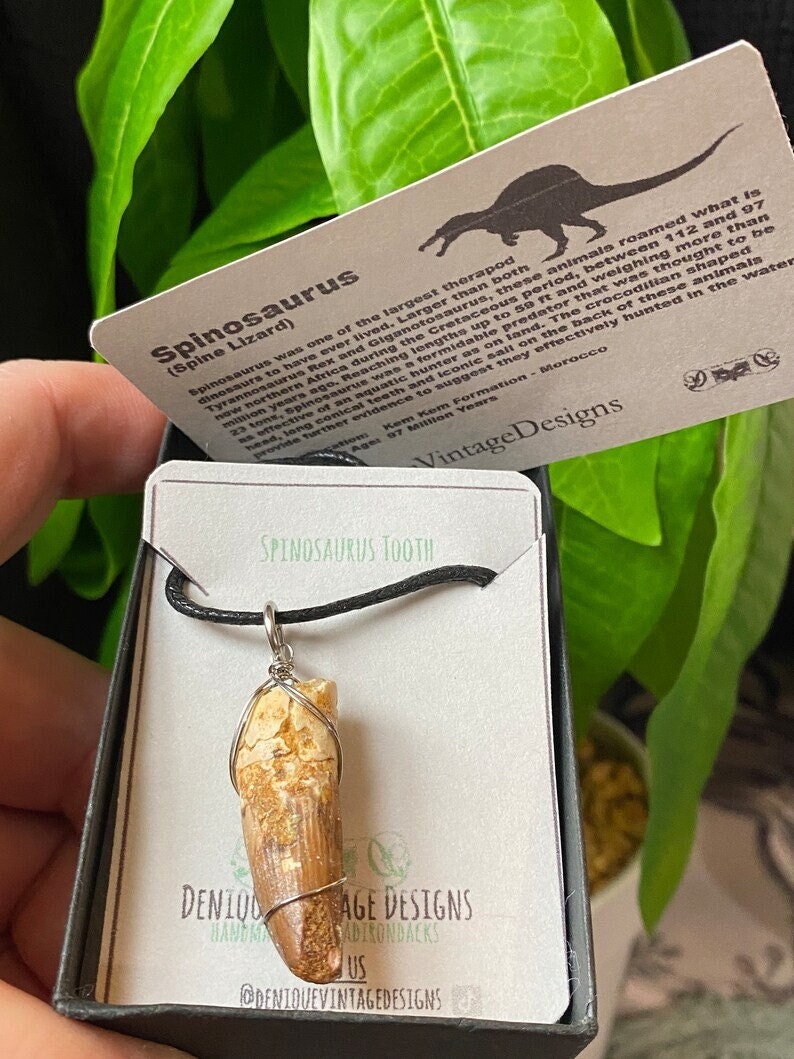 Genuine Spinosaurus Tooth Wire Pendant Silver/steel/copper/bronze/14k ...