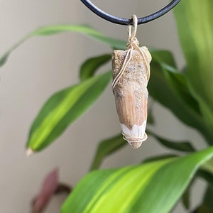 Genuine Spinosaurus Tooth Wire Pendant- Silver/steel/copper/bronze/14k ...