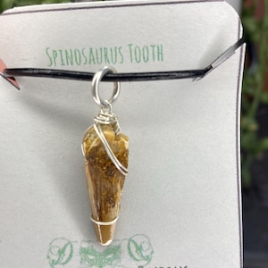 Genuine Spinosaurus Tooth Wire Pendant- Silver/steel/copper/bronze/14k ...