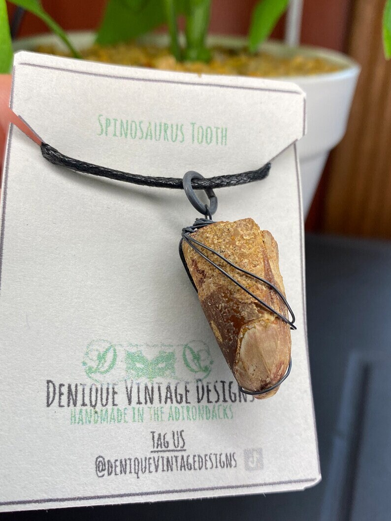 Genuine Spinosaurus Tooth Wire Pendant Silver/steel/copper/bronze/14k ...