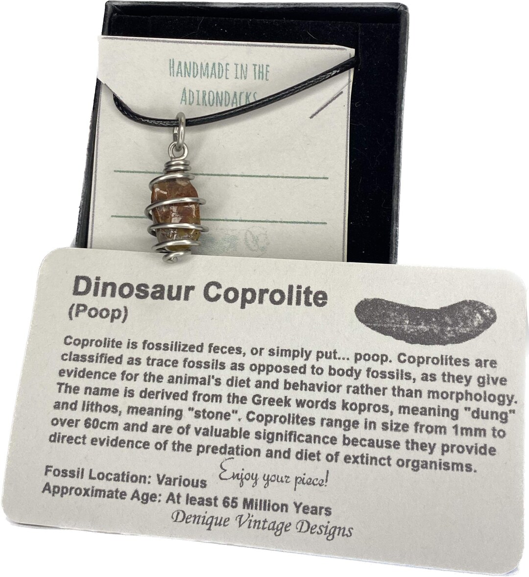 Coprolite Fossil Pendant: Polished Dino Poop Wire Cage Charm - Etsy
