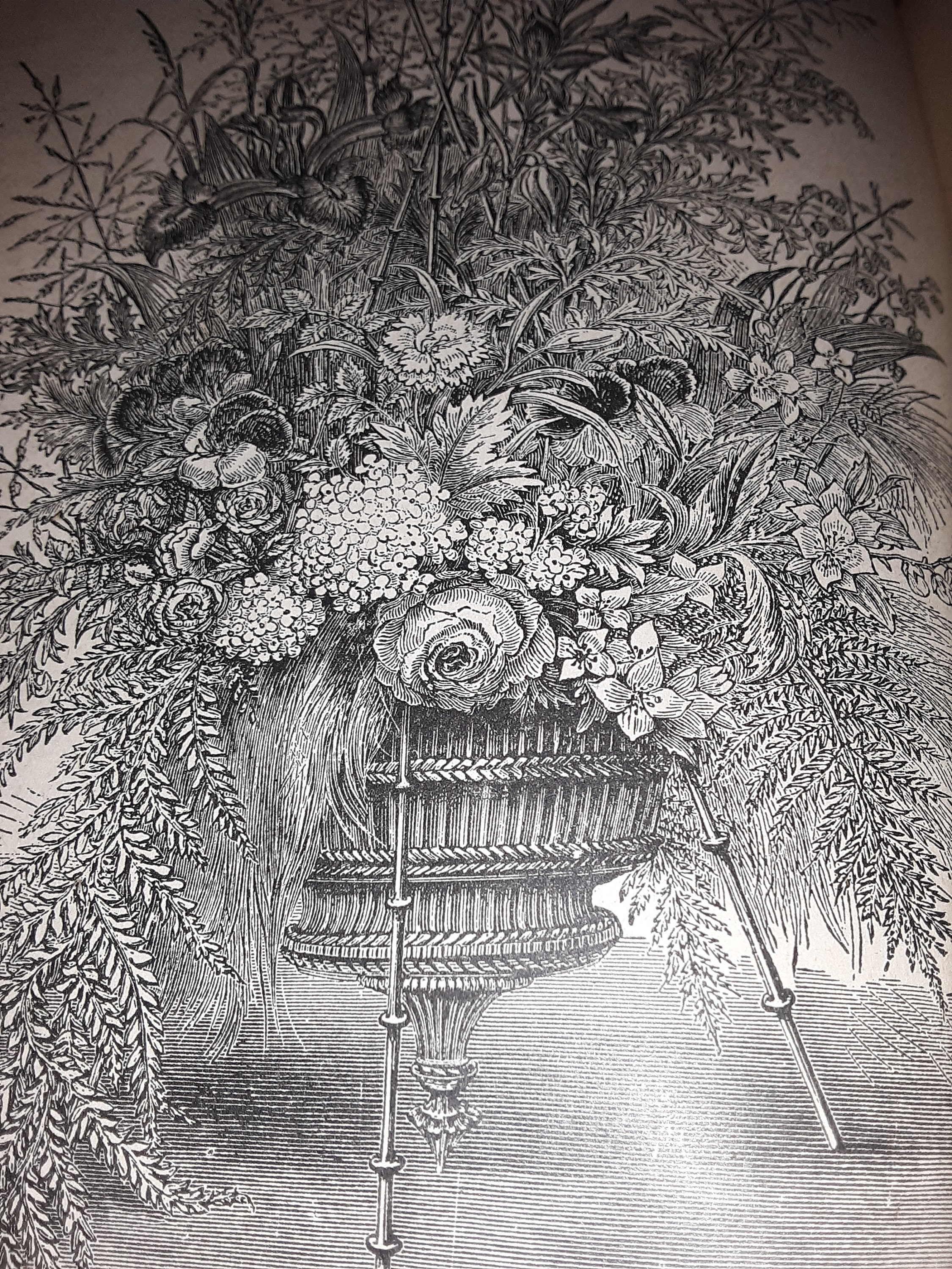 Antique Beautiful Homes 635 Engravings From 1885 by Mrs. C.S. Jones and ...