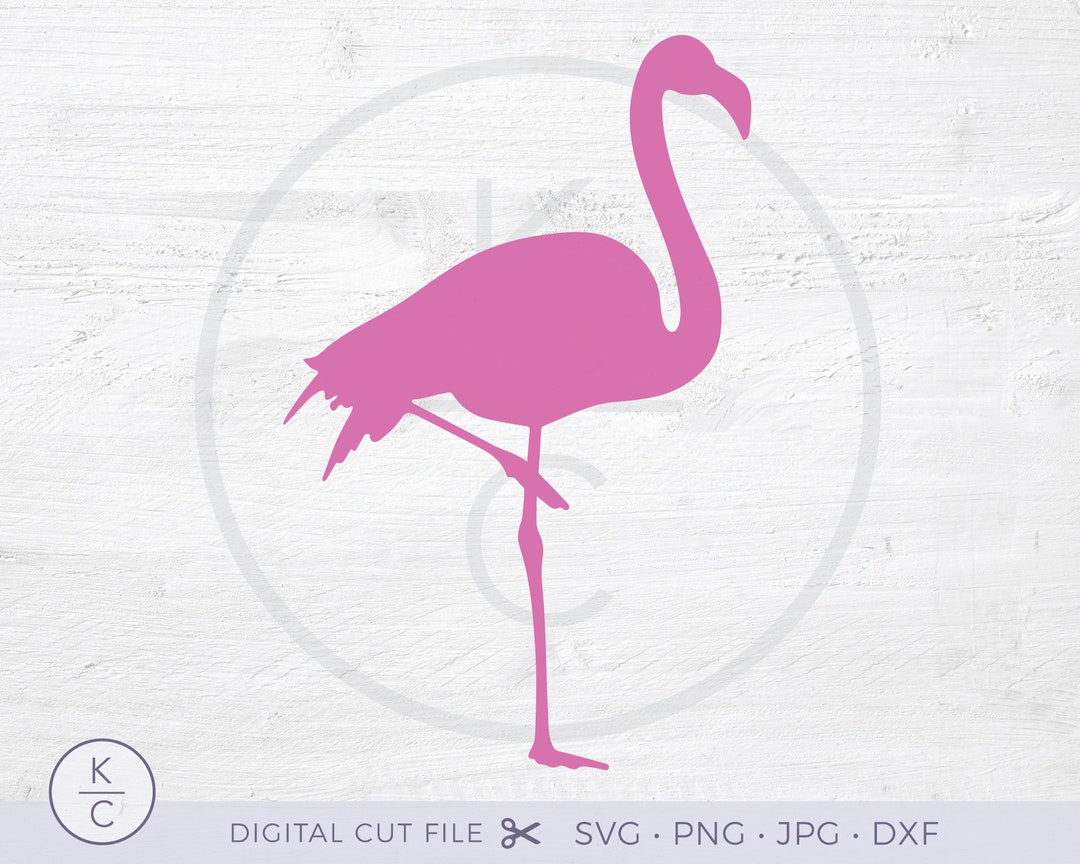 Flamingo SVG, Flamingo Clipart, Zoo SVG, Animal Svg, Beach Svg ...