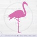 Flamingo SVG, Flamingo Clipart, Zoo SVG, Animal Svg, Beach Svg ...
