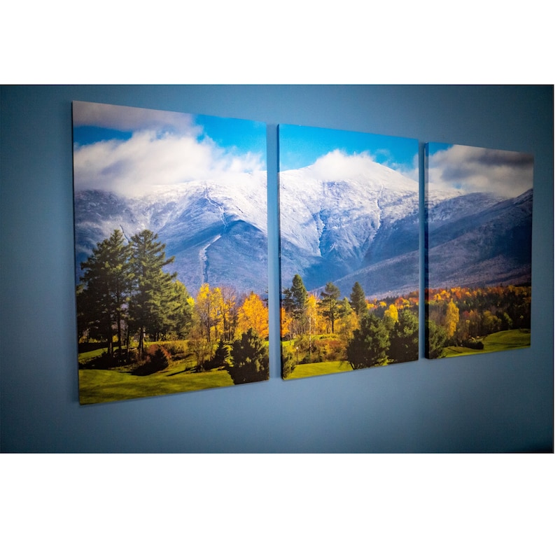 Triptych Canvas - Etsy
