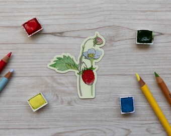 Strawberry Kitty Plant Transparent Sticker - Etsy