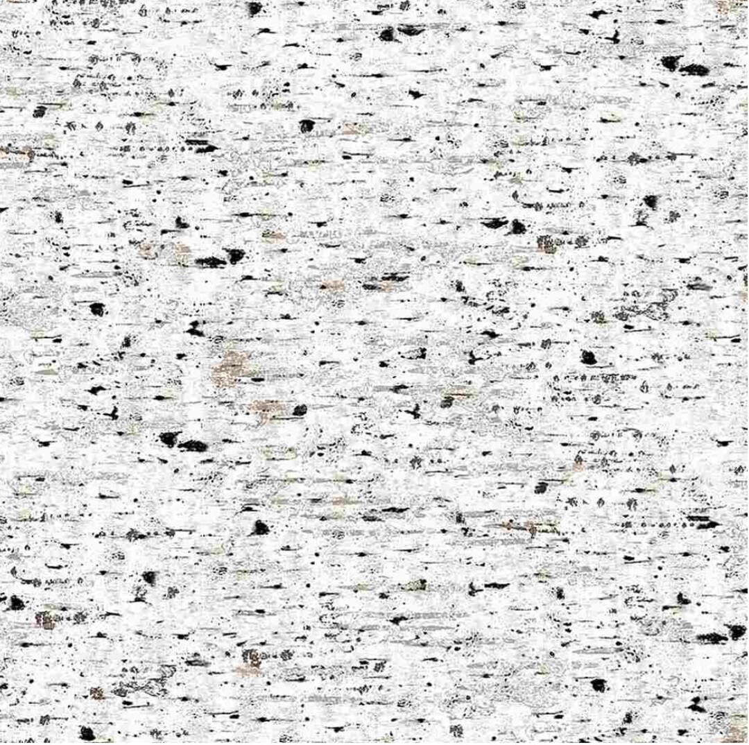 Birch Tree Texture From Timeless Treasures WINTER-CD1646 NATURAL - Etsy