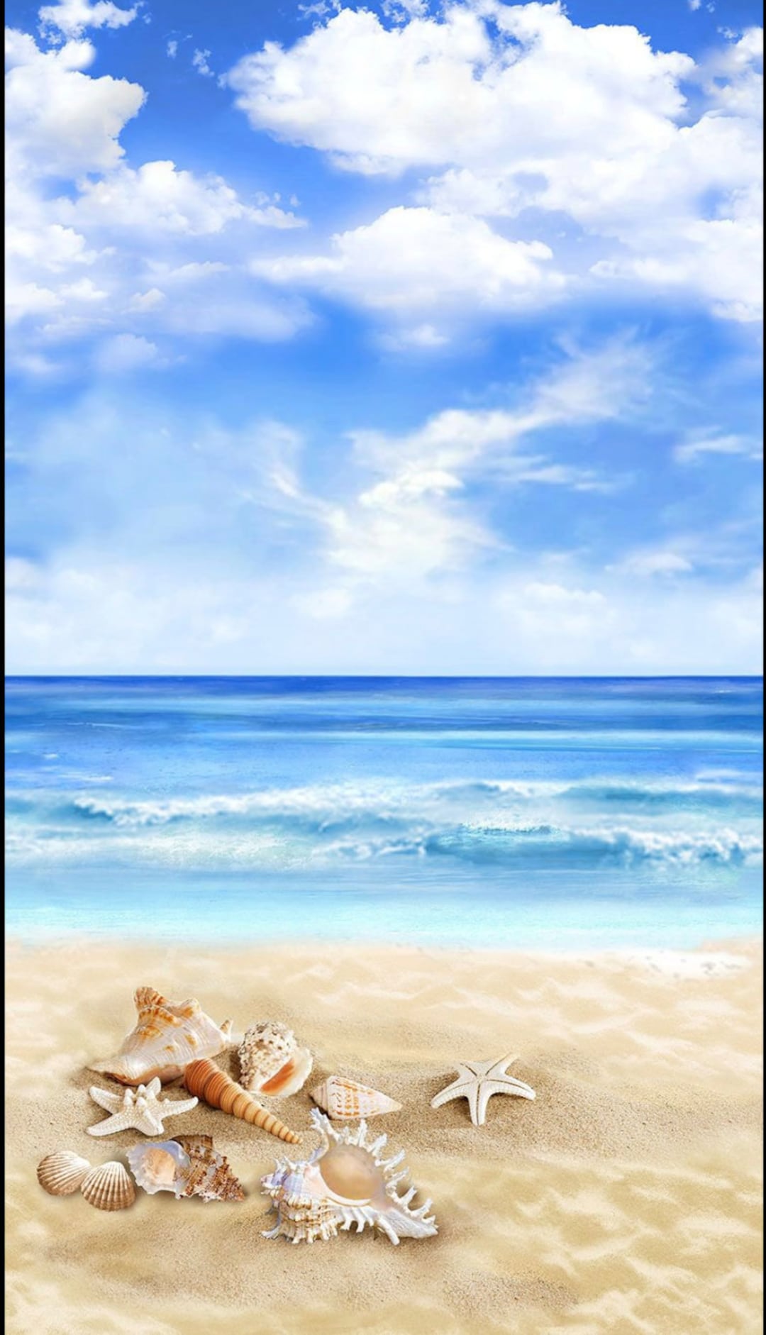 Beachcomber Panel With Shells for Timeless Treasures Panel-cd2533 Multi ...