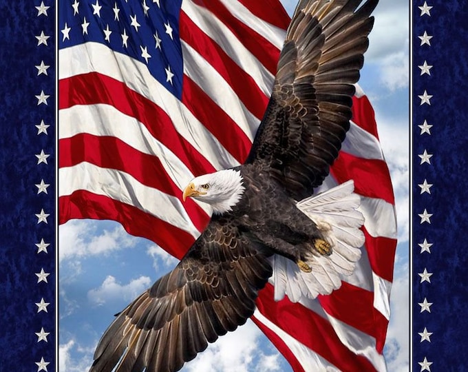 Soaring Eagle 24.5 X 44 Panel Bald Eagle Sunset - Etsy