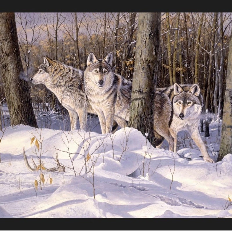 Wolf Fabric Panel - Etsy