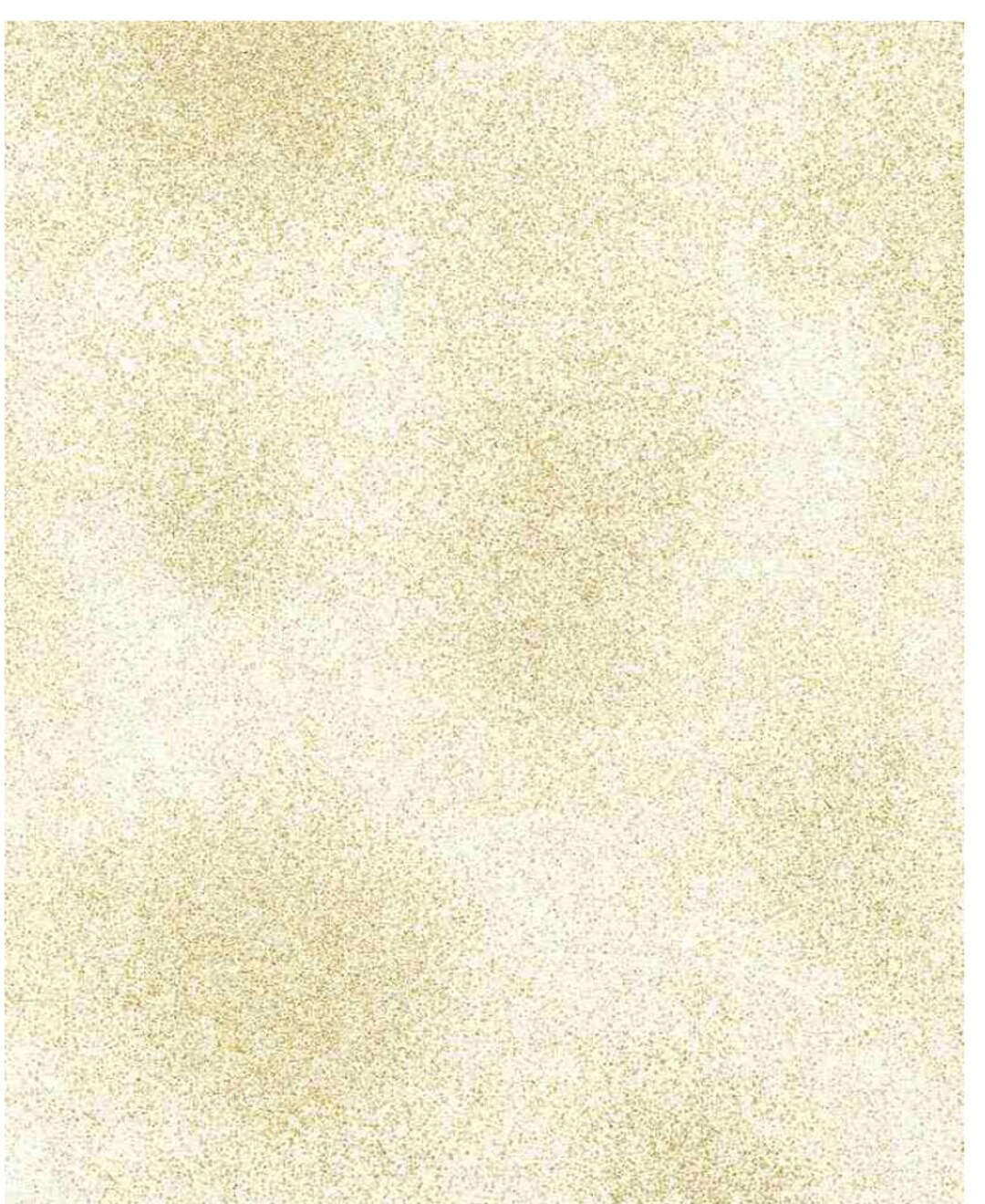 Shimmer Ivory From Timeless Treasures. Impressively Gorgeous Fabrics ...