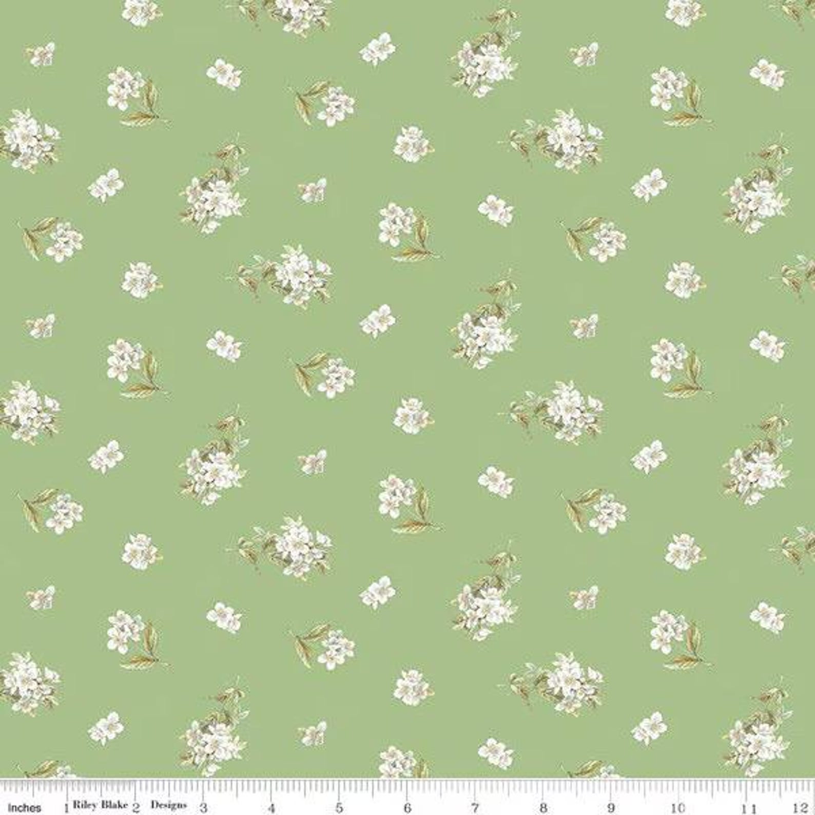 Peter Rabbit & Friends Jasmine by Riley Blake Designs C15864 Green - Etsy