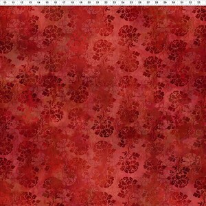 Prism Borders by Jason Yenter for in the Beginning Fabrics. 1JYQ-1 ...