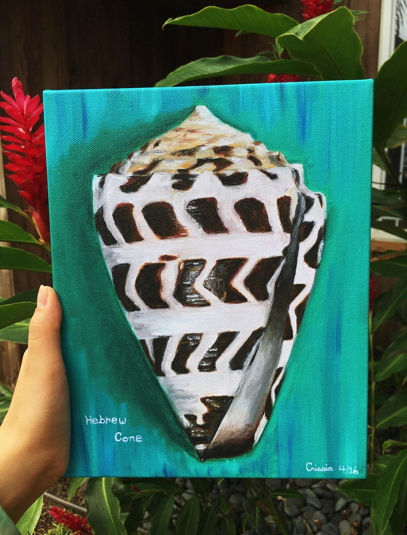 Hebrew Cone Shell Oil Painting *canvas Print* - Etsy