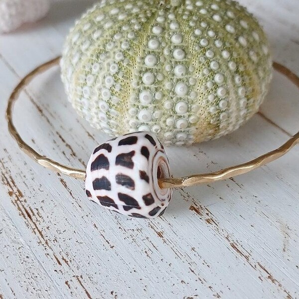 Cone Shell Jewelry - Etsy