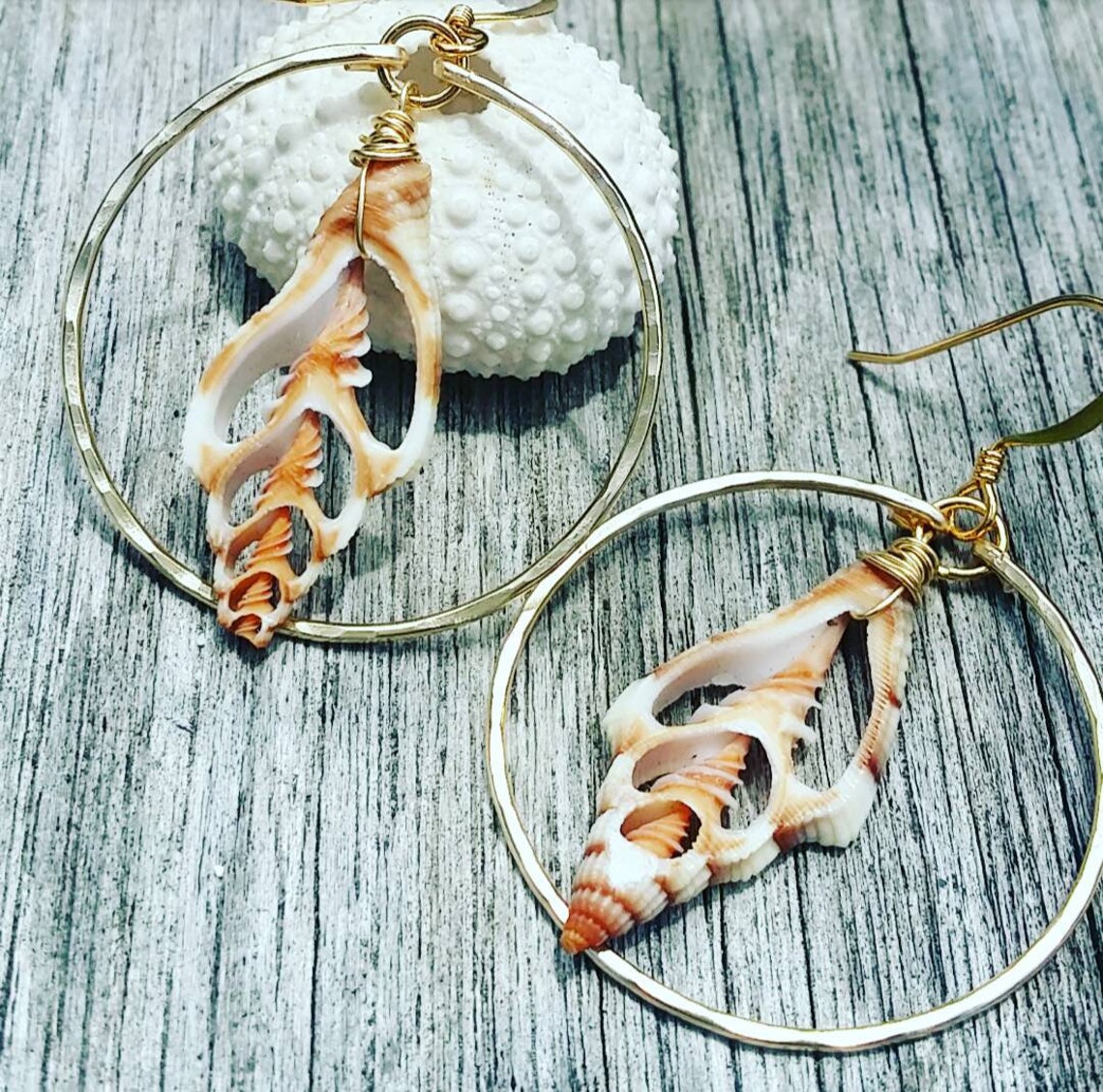 Mitra Shell Earrings Gold Hoops Shell Jewelry Sliced - Etsy
