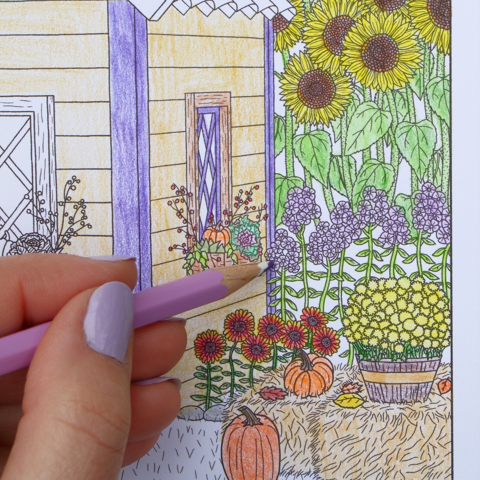 Autumn Cottage Printable Coloring Page - Etsy