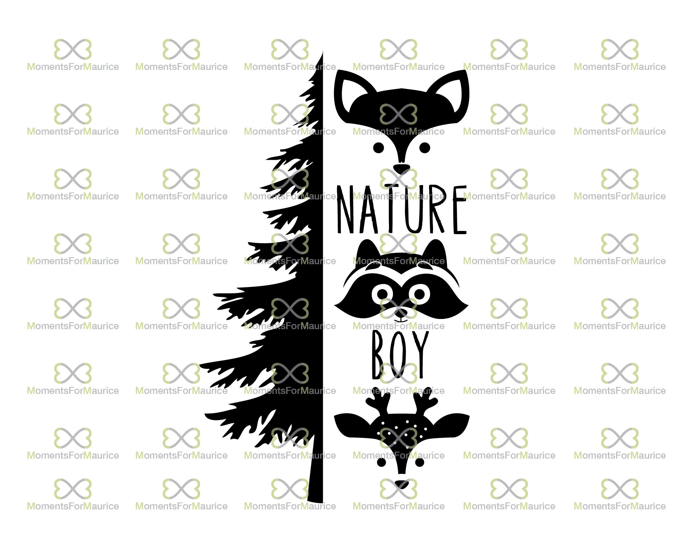 Toddler Boy Svg, Nature Boy T-shirts, Explorer Shirt, Little Boy Shirts ...