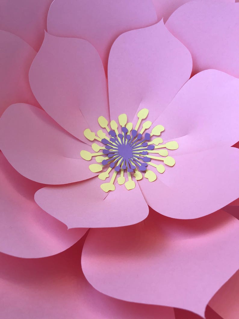 Large Paper Flowers Paper Flowers Giant Paper Flowers Baby - Etsy