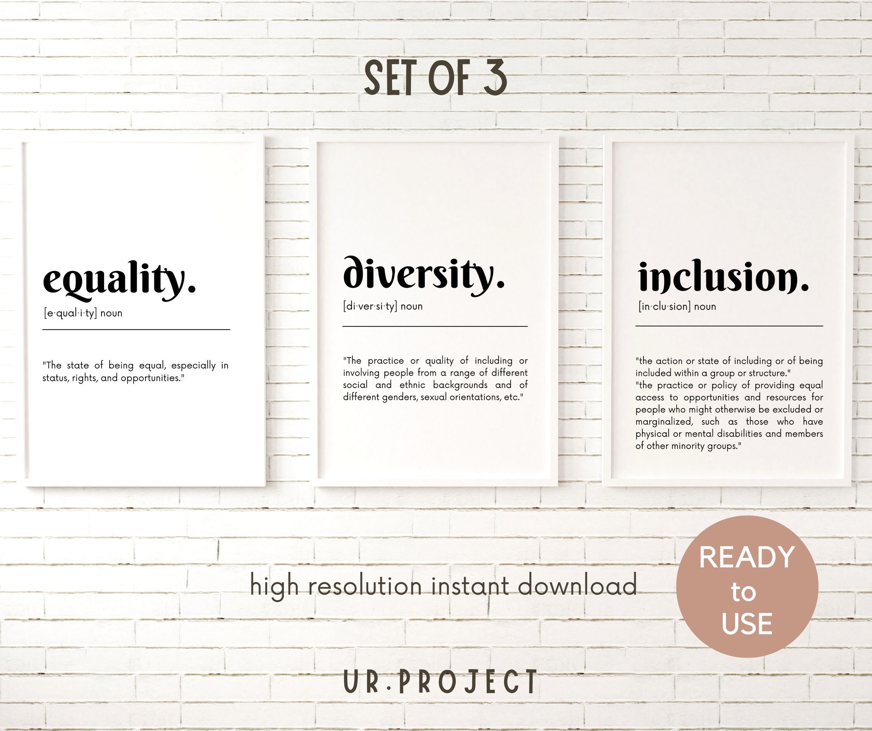 Equality Definition, Set of 3, Diversity Definition, Inclusion Posters ...