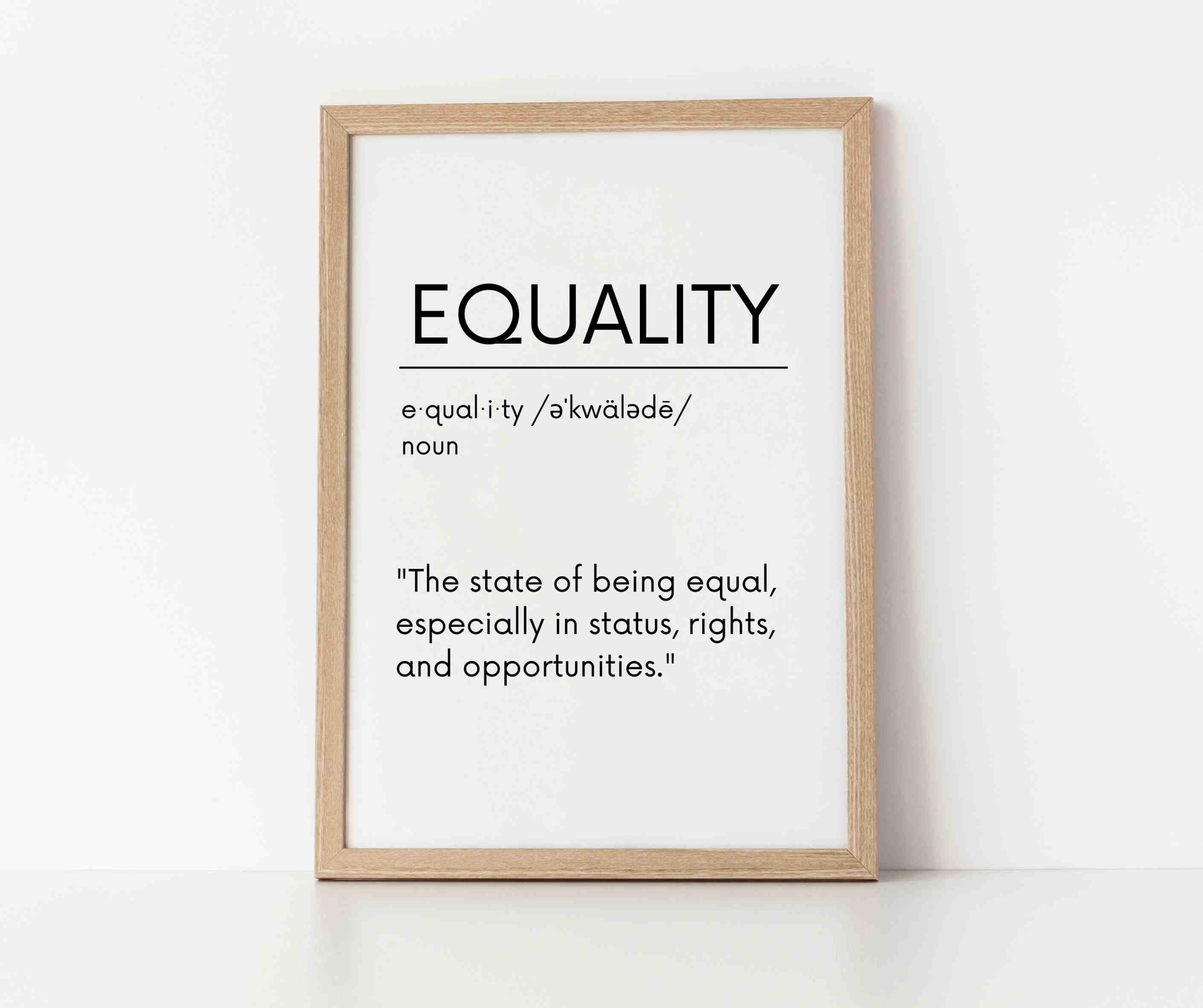 Equality Definition Set of 3 Diversity Definition Inclusion - Etsy