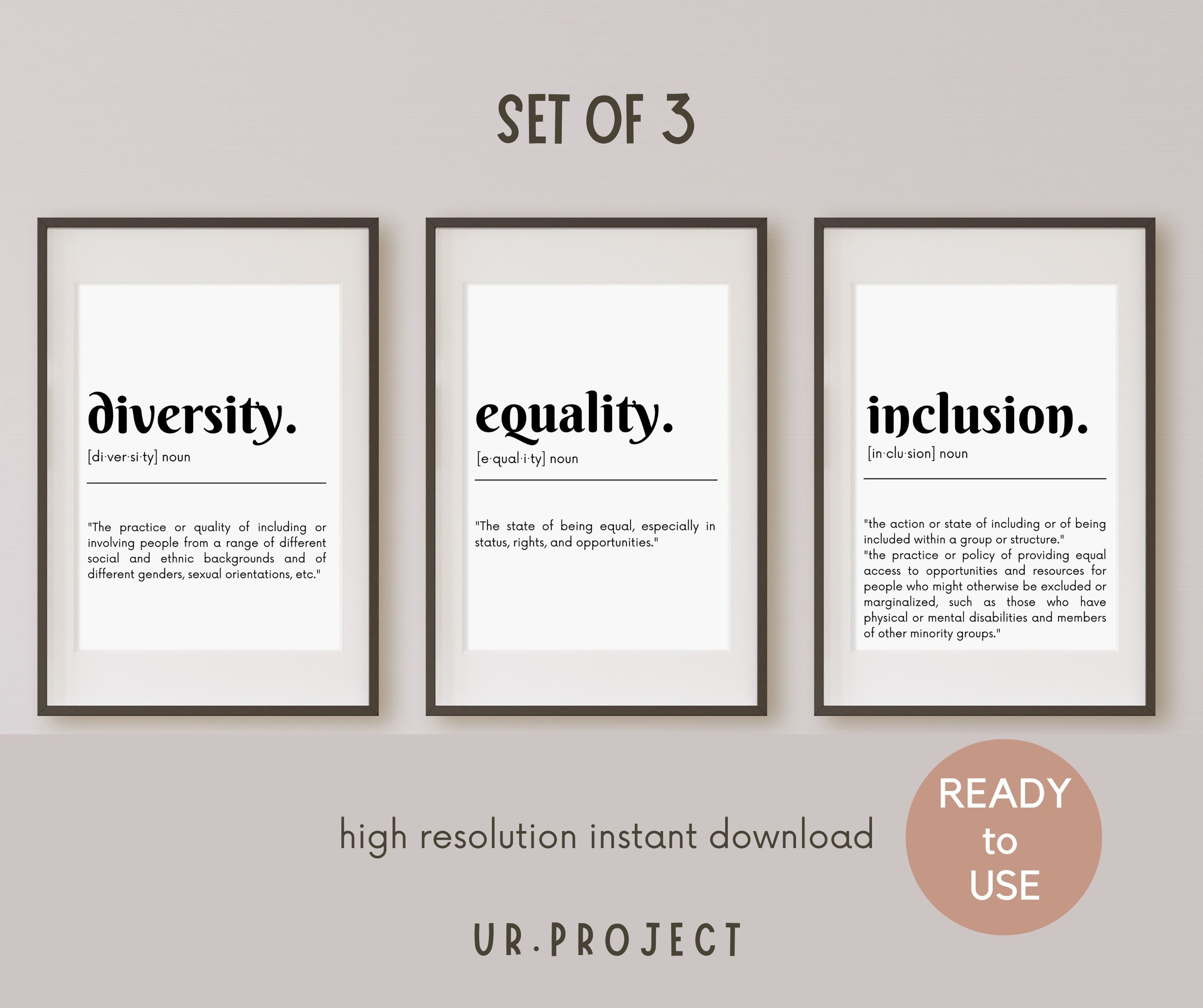 Equality Definition, Set of 3, Diversity Definition, Inclusion Posters ...