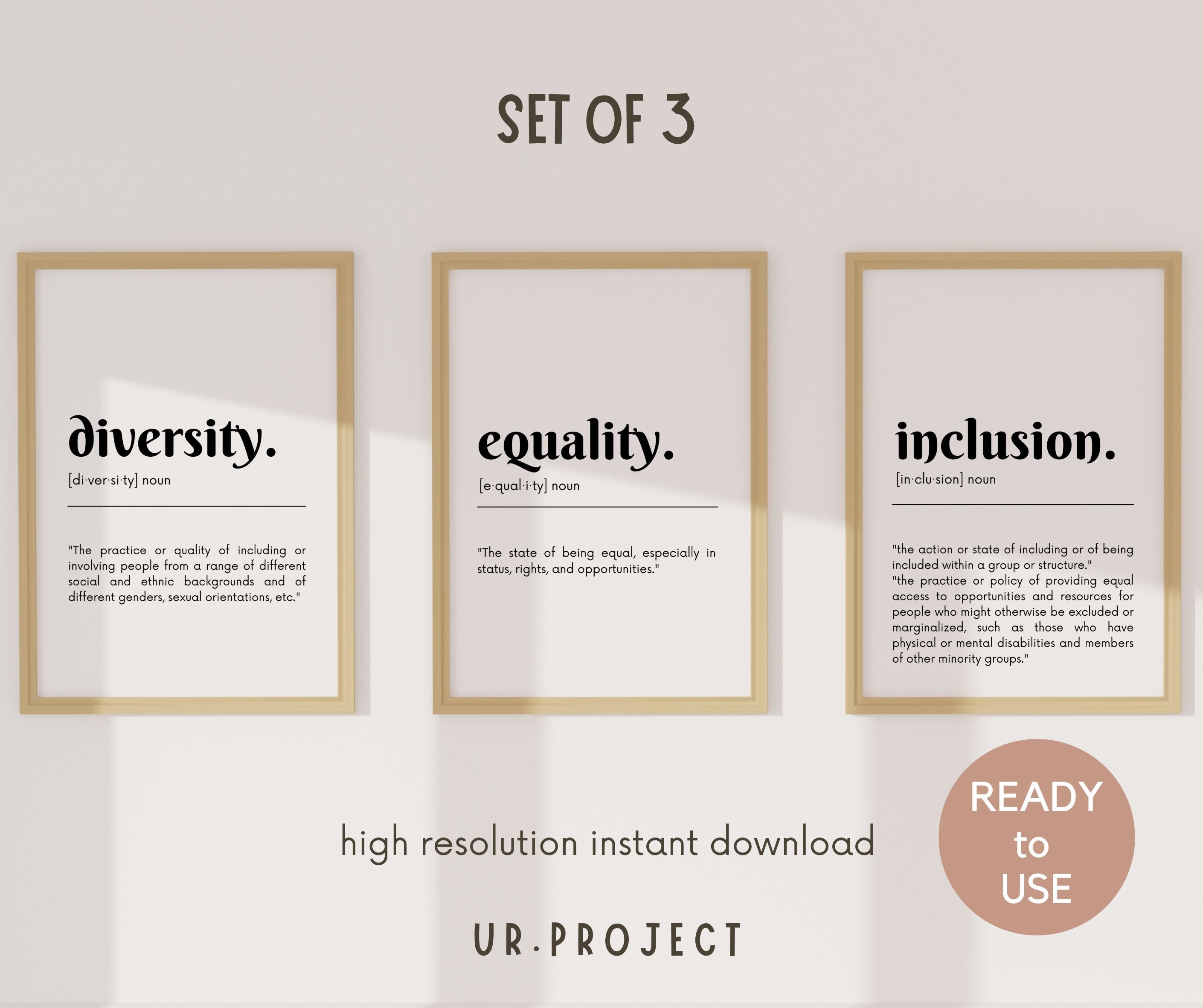 Equality Definition Set of 3 Diversity Definition Inclusion - Etsy
