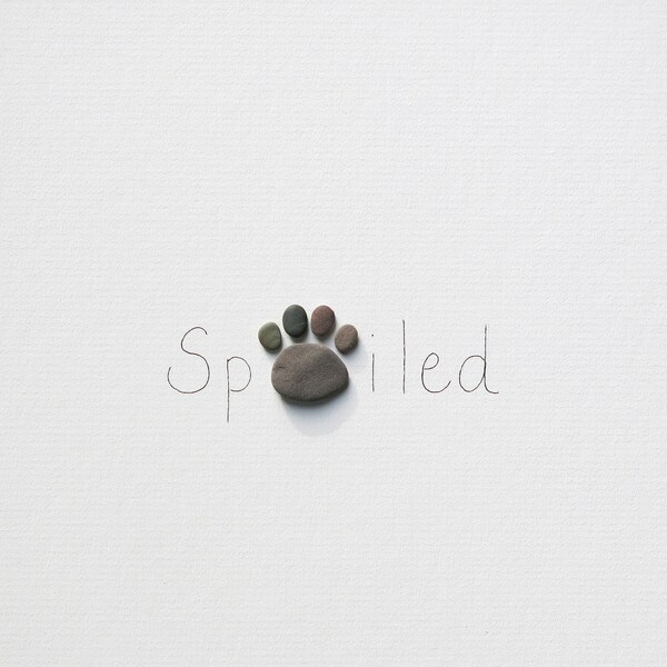 Pebble Art Dogs - Etsy