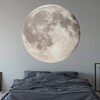 Phases of Luna - Moon Wall Stickers | Classroom, Office, Kids Room ...