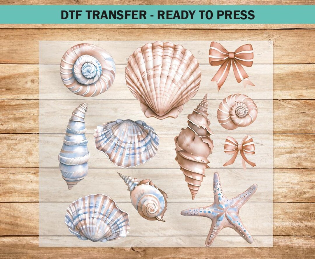Seashell DTF Transfer, Coastal Beach Shells & Starfish Ready to Press ...