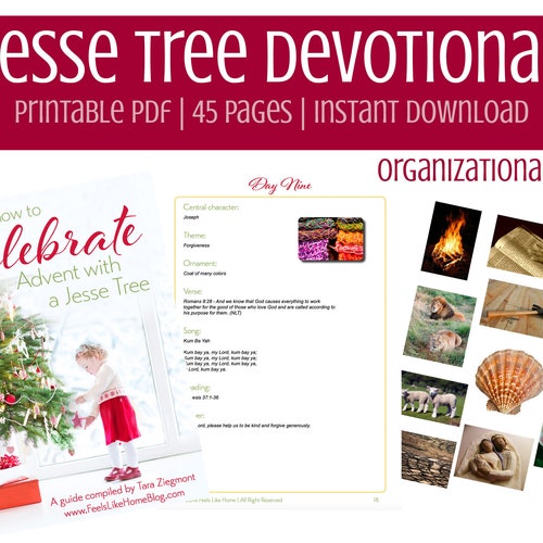 Printable PDF Jesse Tree Coloring Book Christmas Advent - Etsy