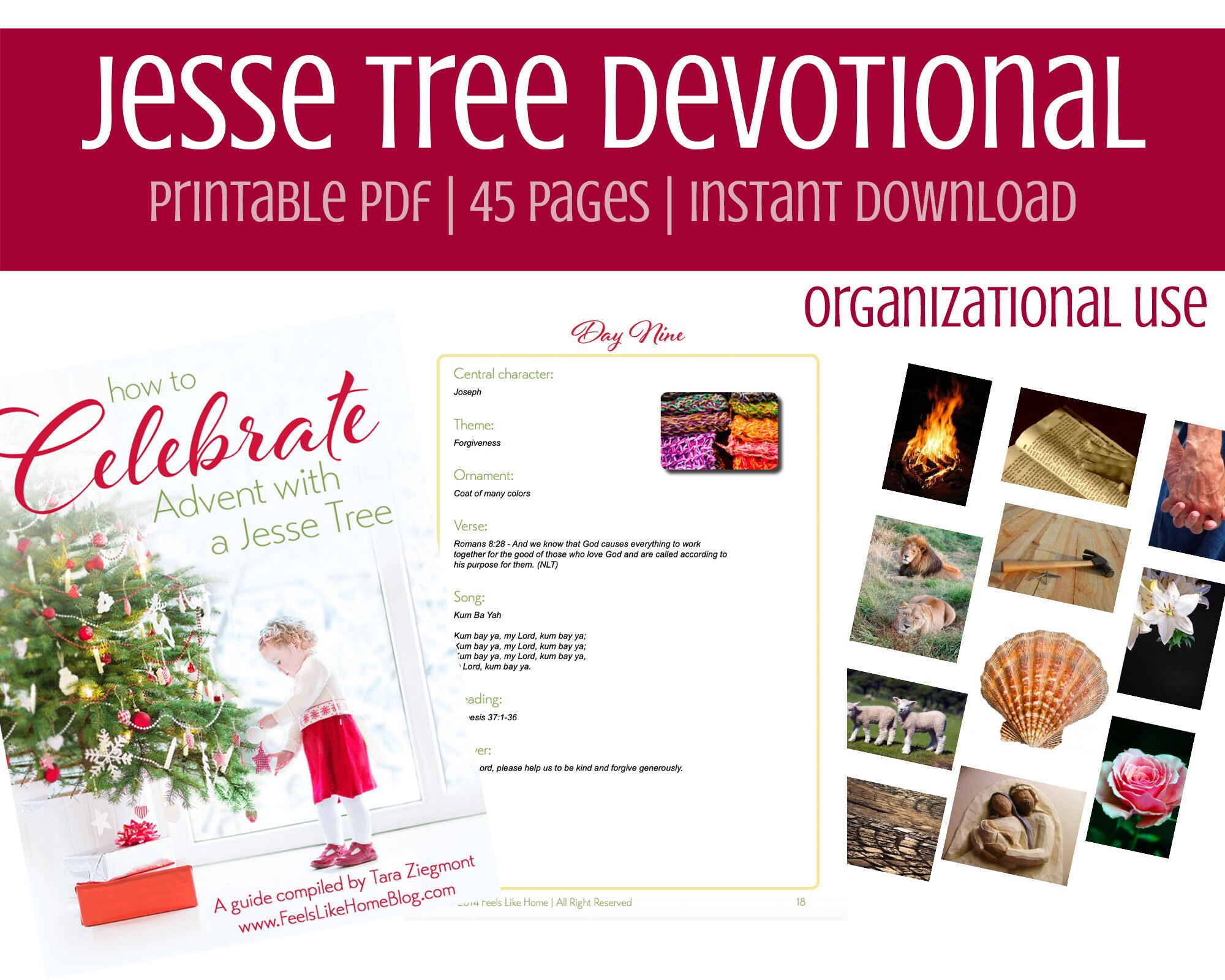 How to Celebrate Advent With a Jesse Tree devotional, Ebook Only Family ...