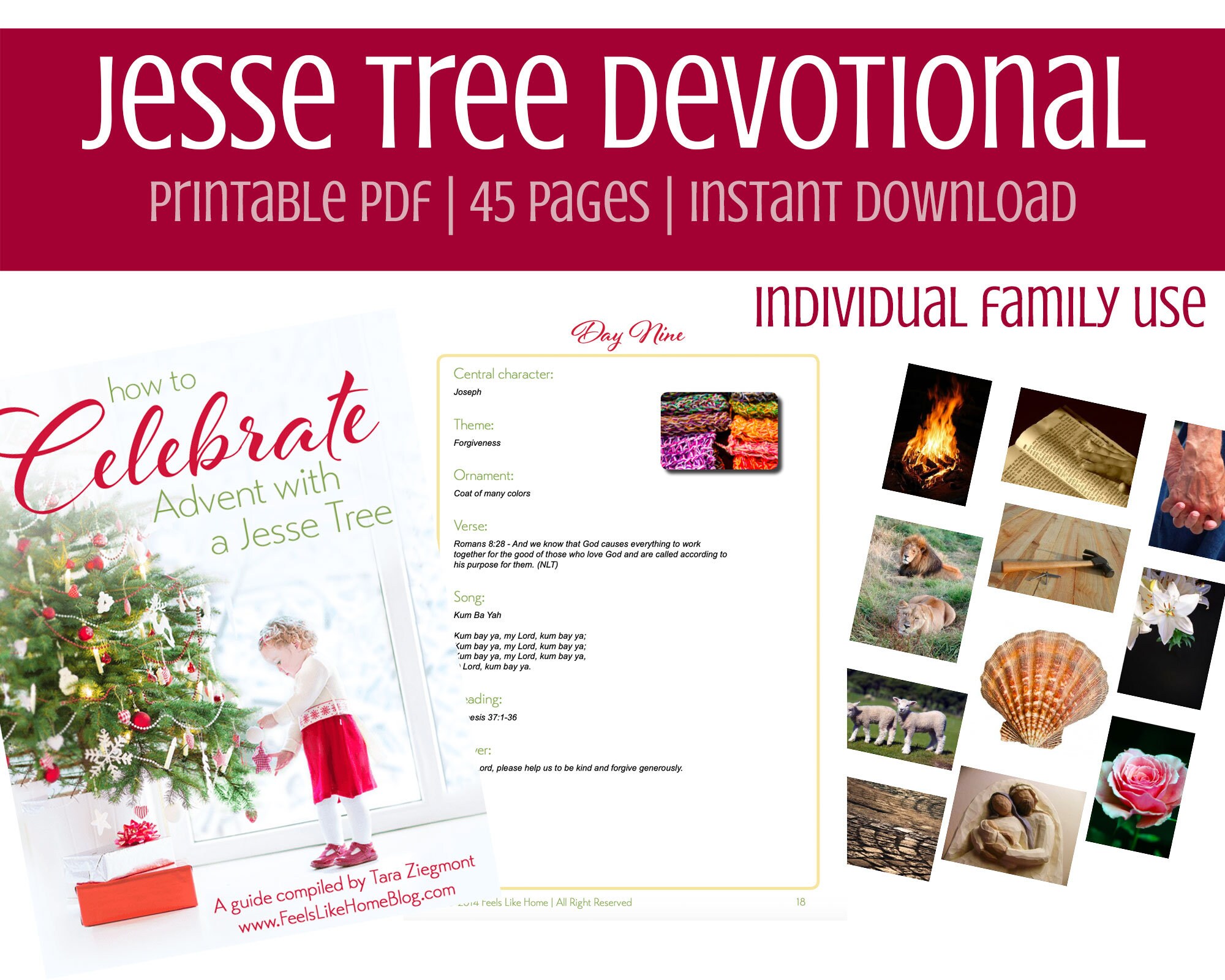 How to Celebrate Advent With a Jesse Tree devotional, Ebook Only Family Devotions for Christmas ...