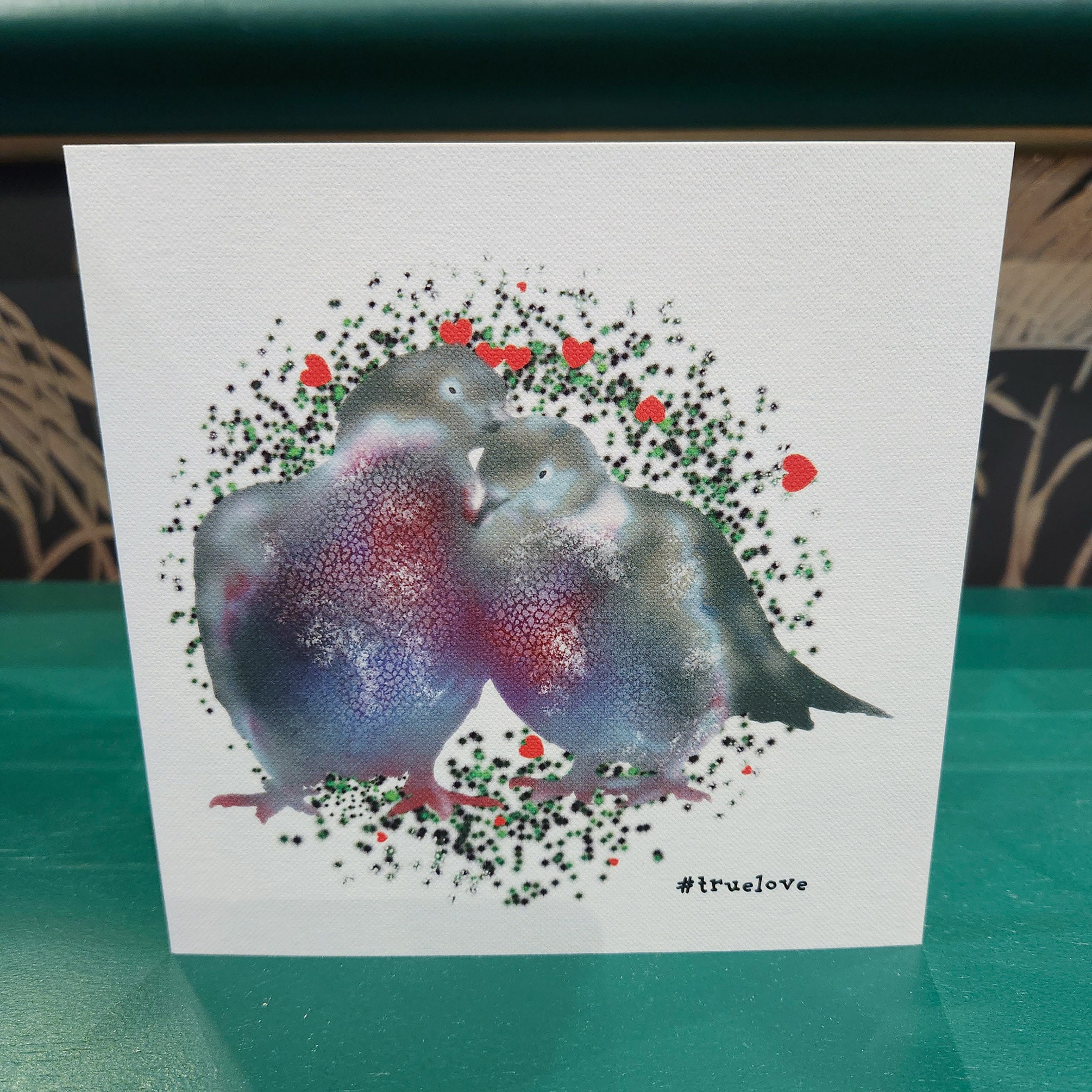Pigeons Greetings Card Anniversary Card for Pigeon Lovers Wild Birds ...