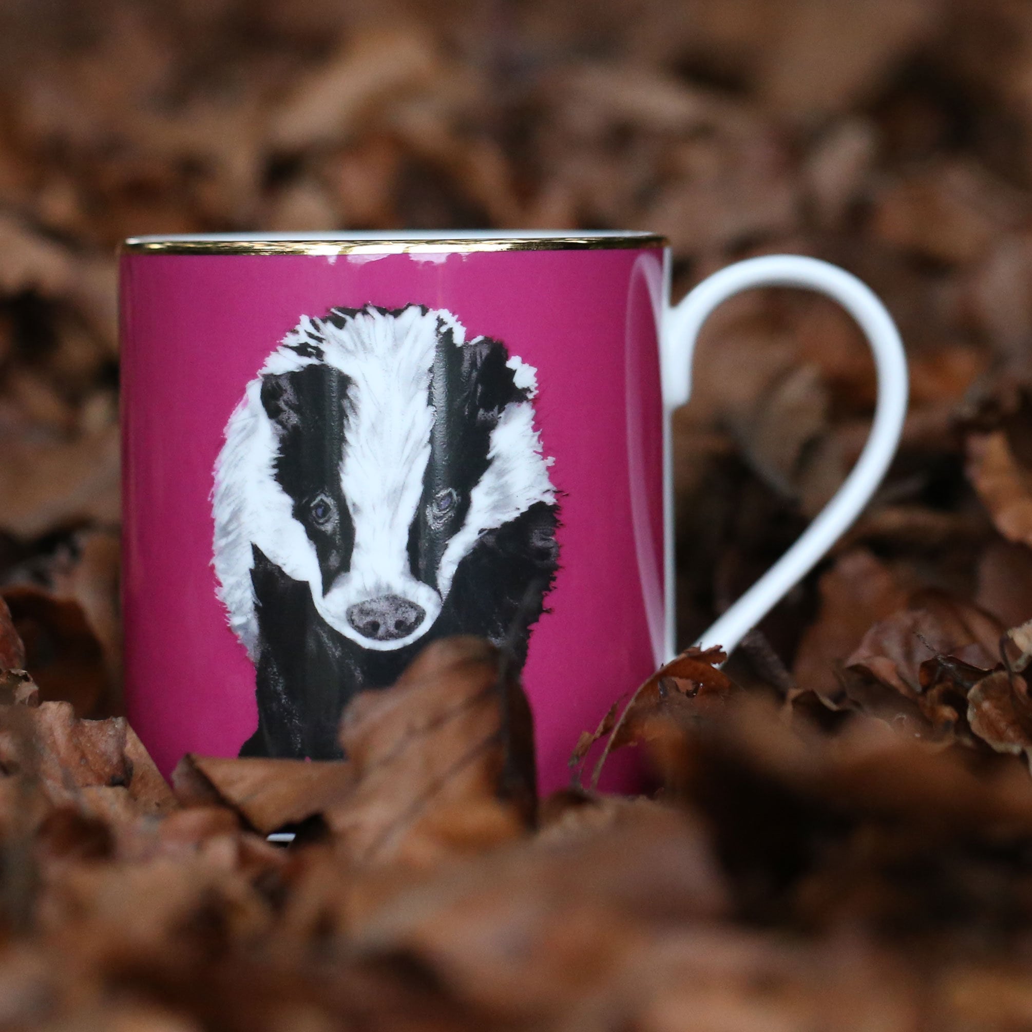 Badger British Bone China Mug Cute Animal Present for Wife/husband ...