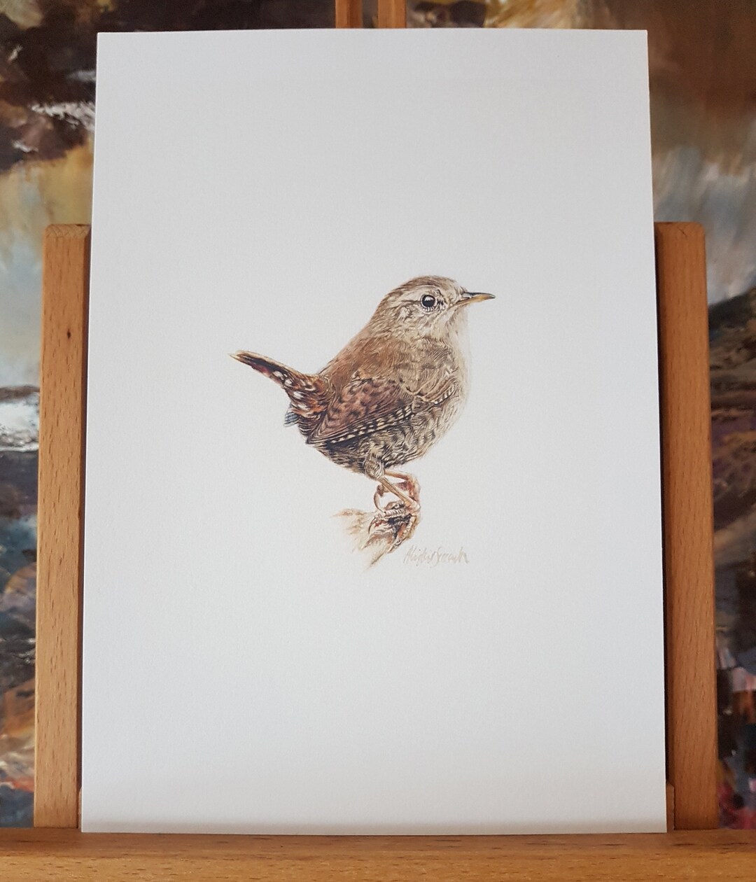 Wren Print, Little Bird in Watercolour, Bird Art Print on Velvet ...