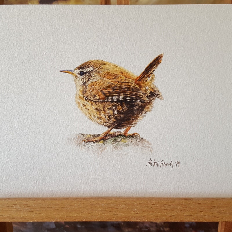 Wren Painting - Etsy UK