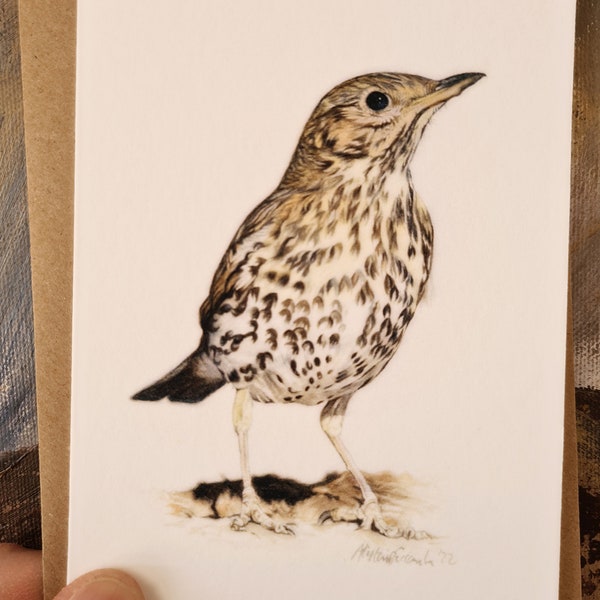 Song Thrush - Etsy